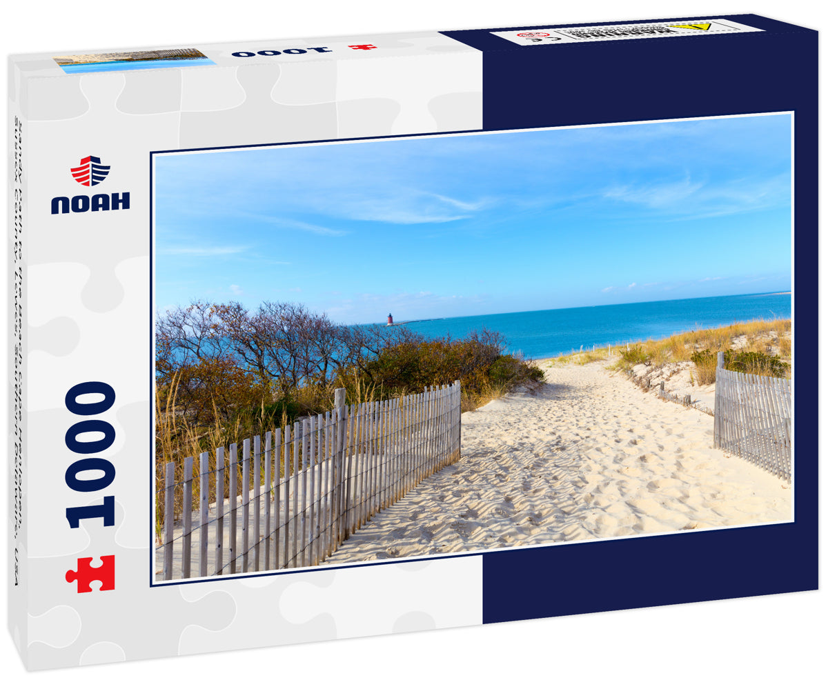 1000-piece-puzzle Sandy Path to the Beach Cape Henlopen, Sussex County ...